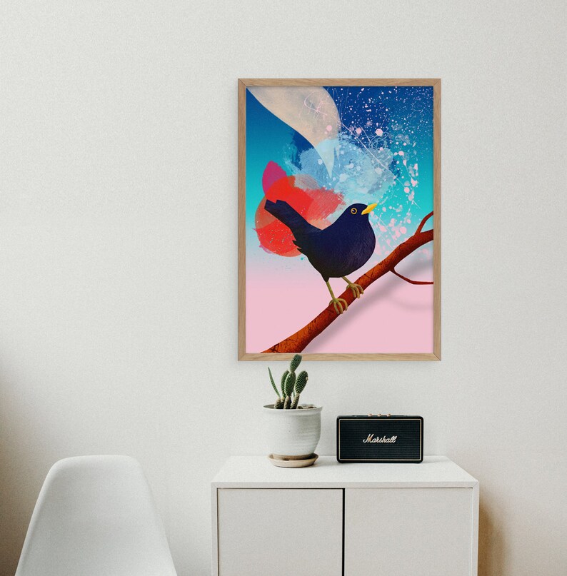 Common Blackbird. Illustration. Printed on Art Paper. - Etsy