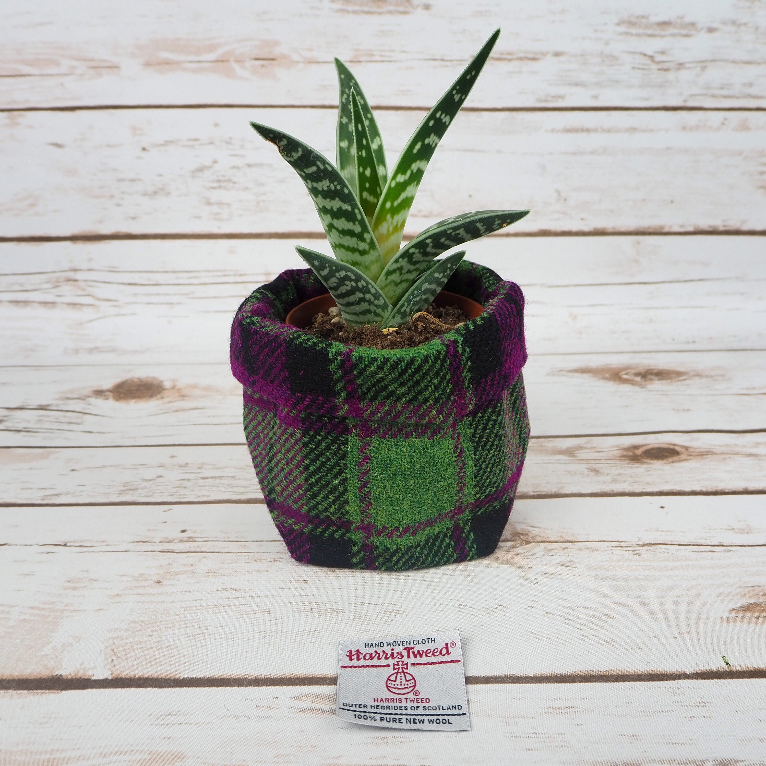 Small Fabric Pot in Green Pink & Black Tartan Harris Tweed