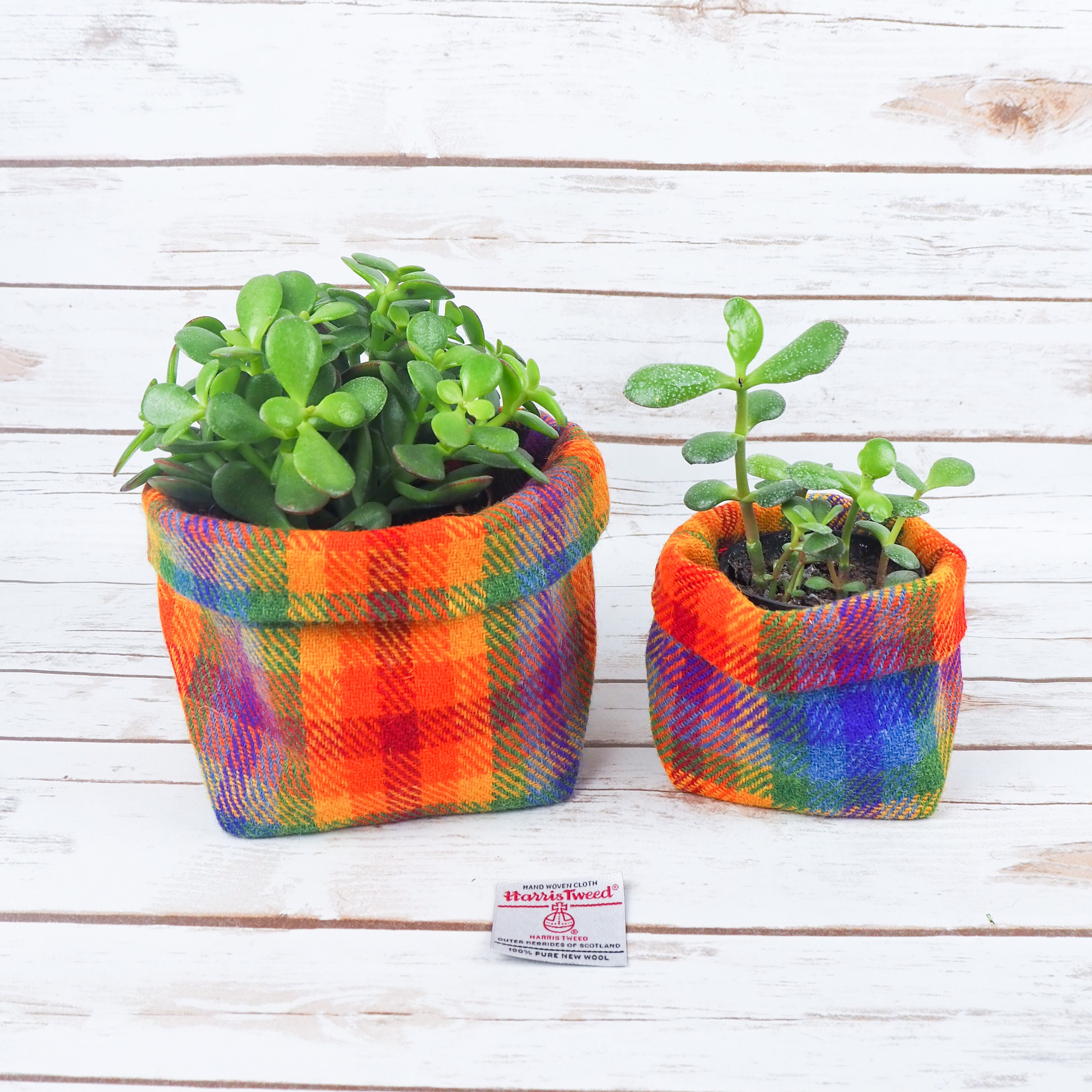 Small Fabric Pot in Rainbow Check Tartan Tartan Harris Tweed