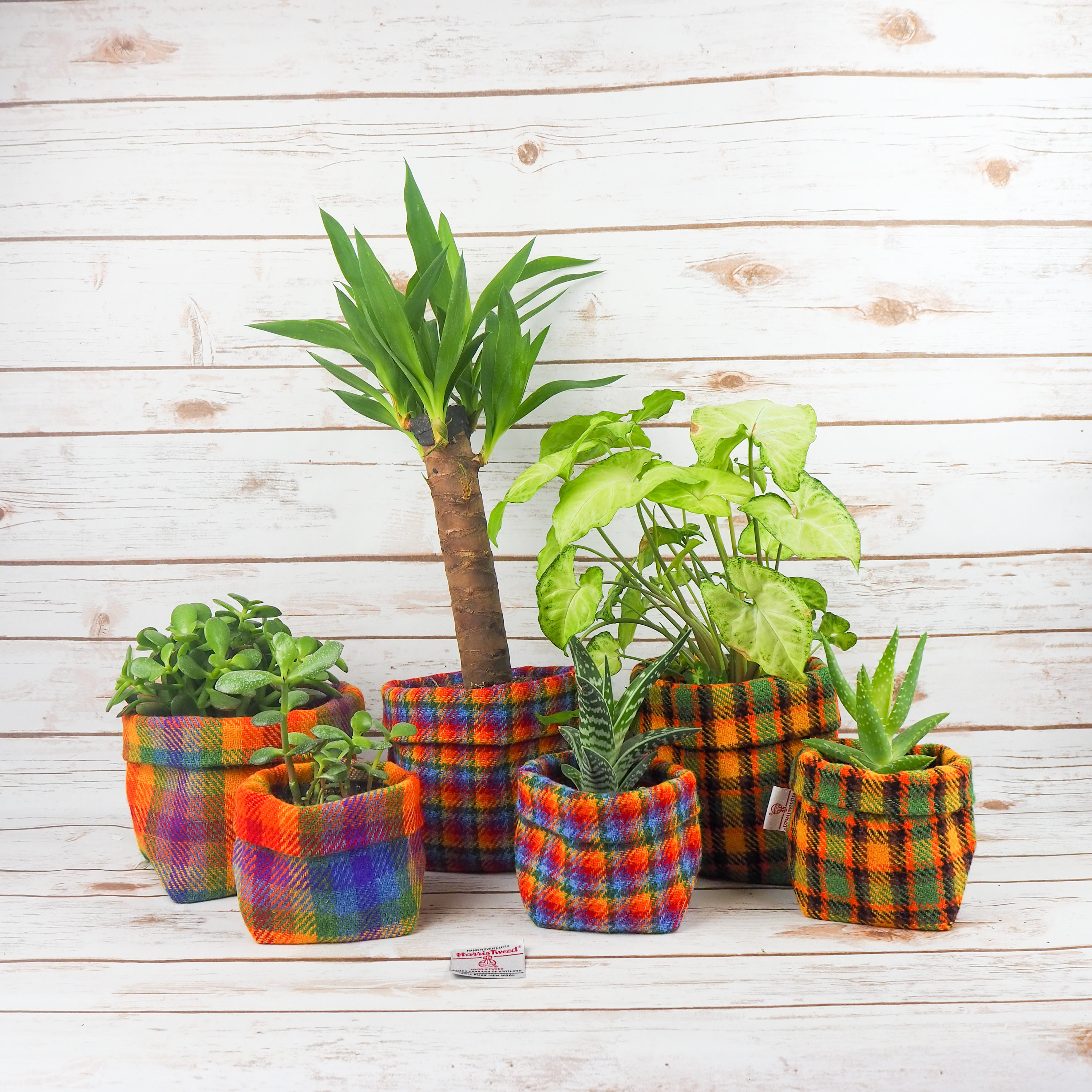 Small Fabric Pot in Rainbow Check Tartan Tartan Harris Tweed