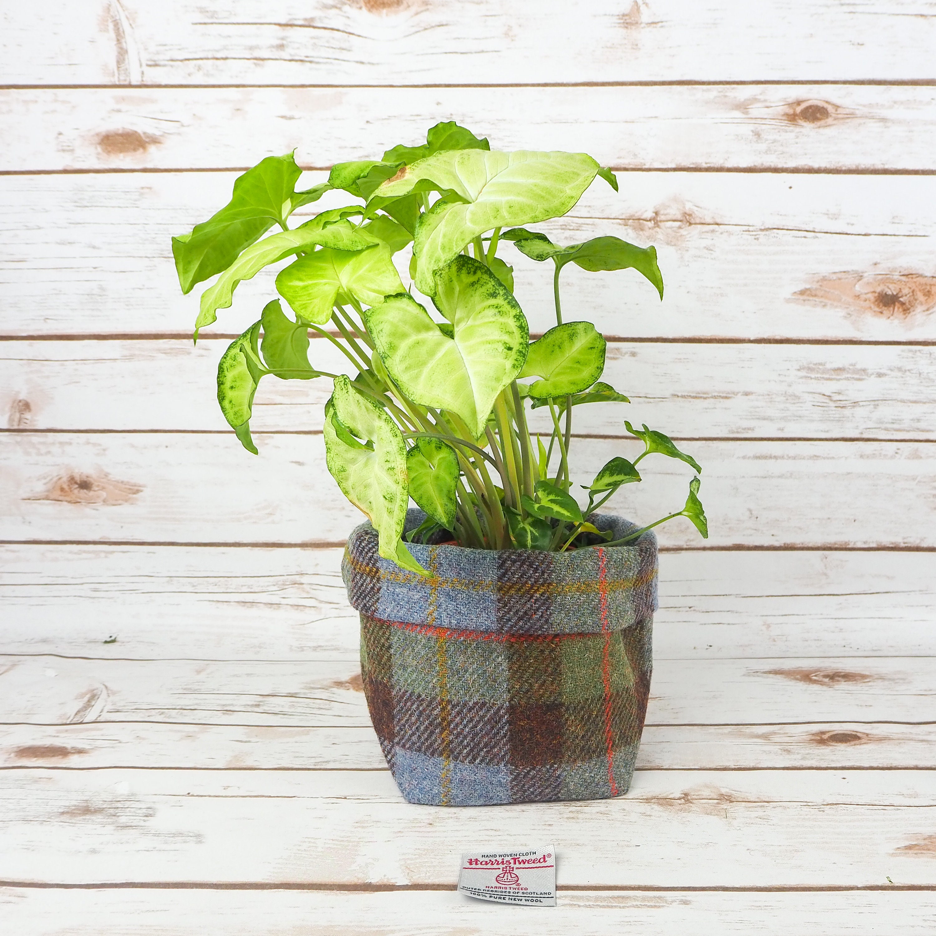 Medium Fabric Pot in MacLeod Tartan Harris Tweed