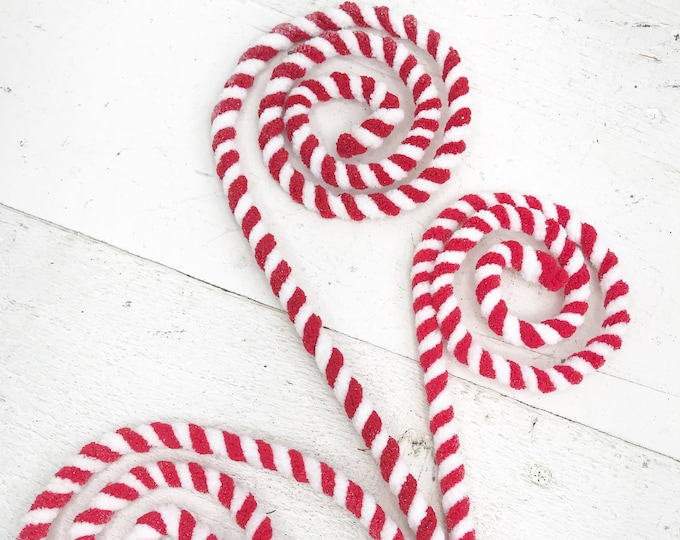 Red and White Candy Cane Stem, Christmas Peppermint Stems, Christmas ...