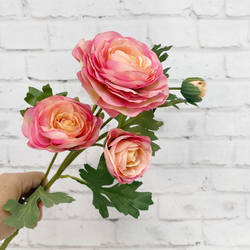 Silk Ranunculus - Etsy