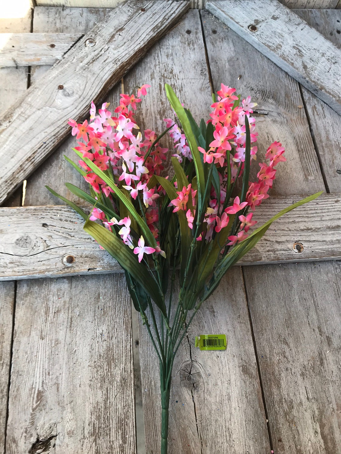 Rosa Bell Flower Bush Flor de campana Flores de campana para | Etsy