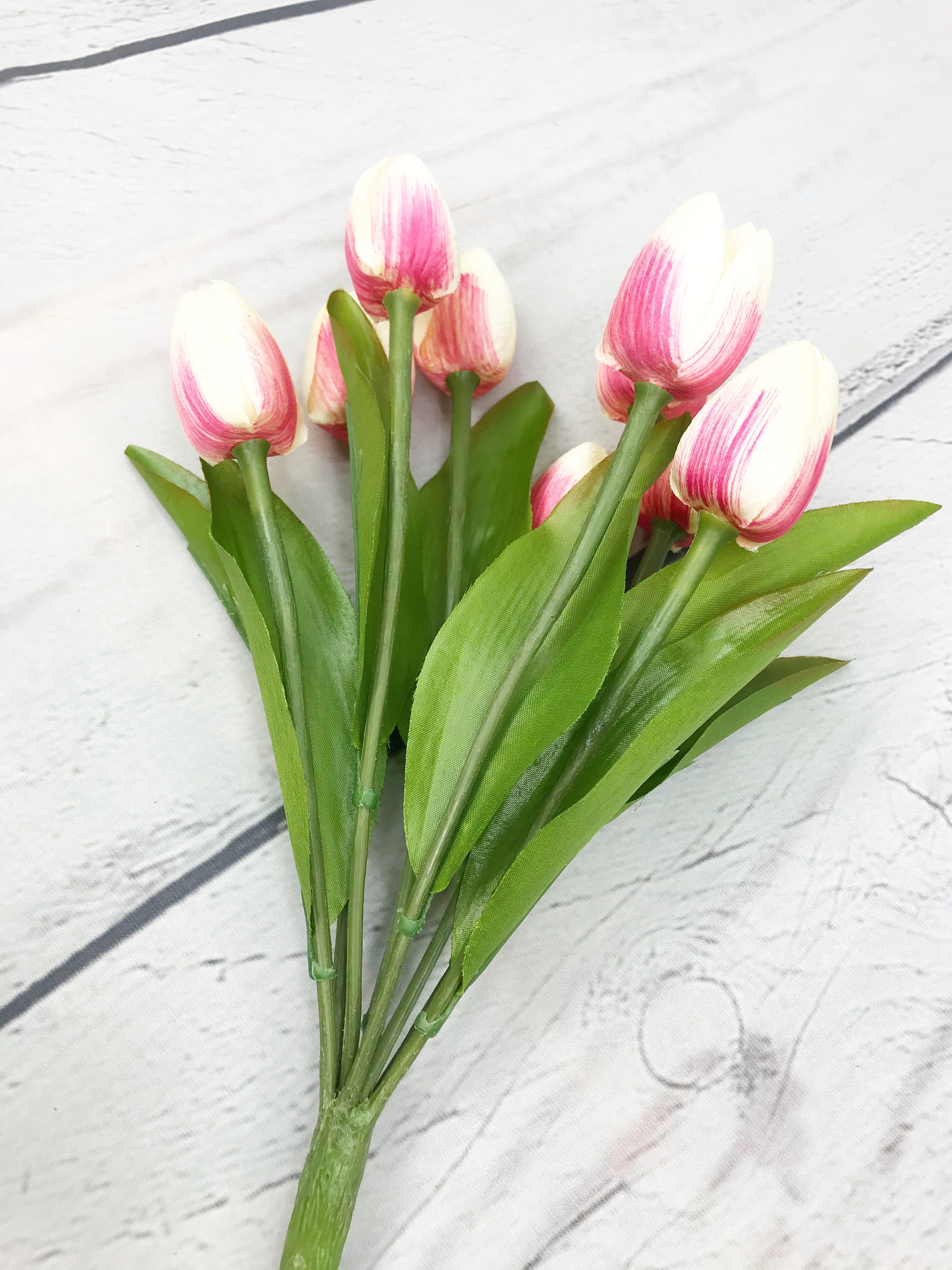 Single Pink Tulip