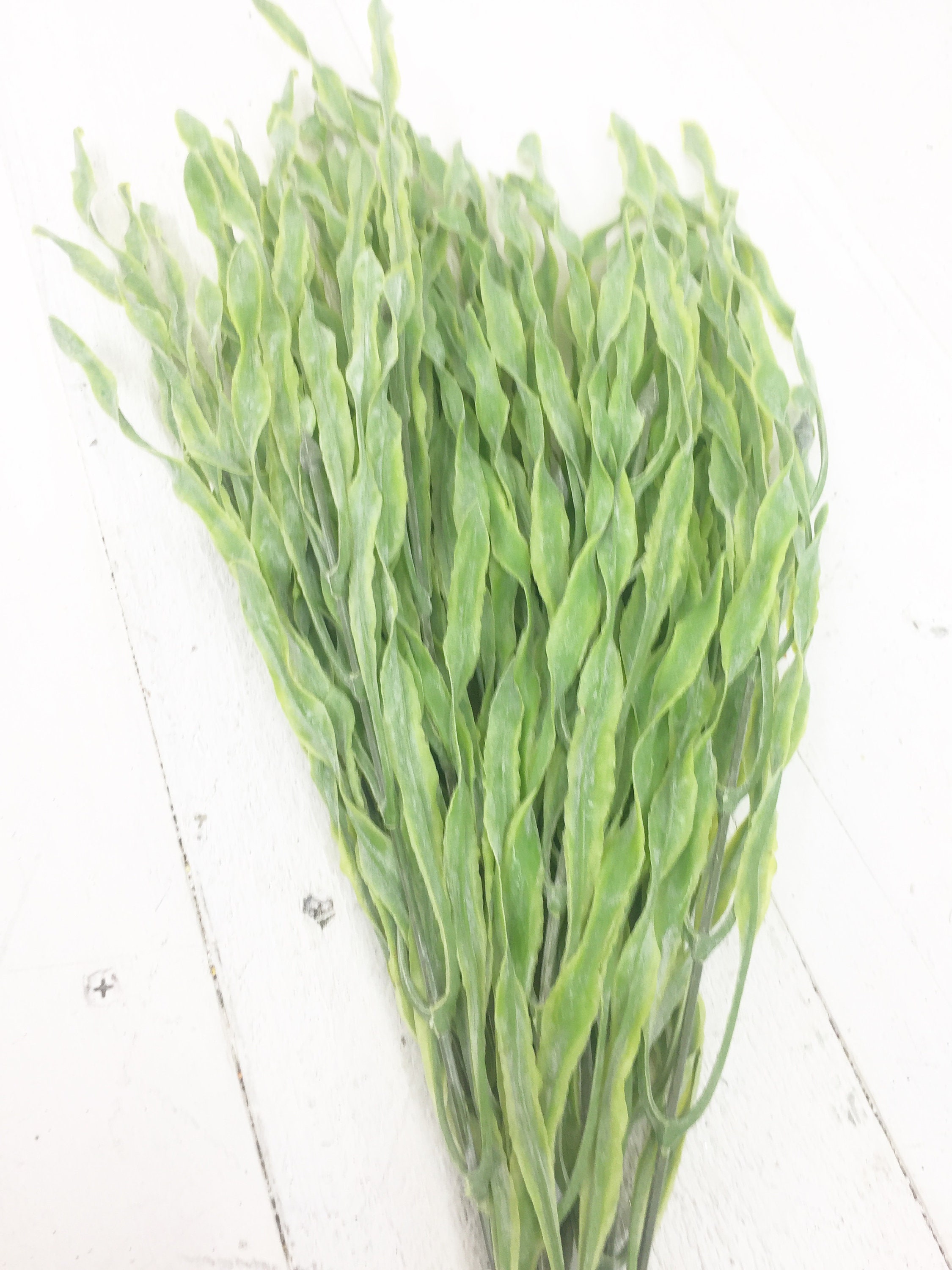 Frosted Curly Grass Greenery Bush Winter Curly Grass Bush - Etsy