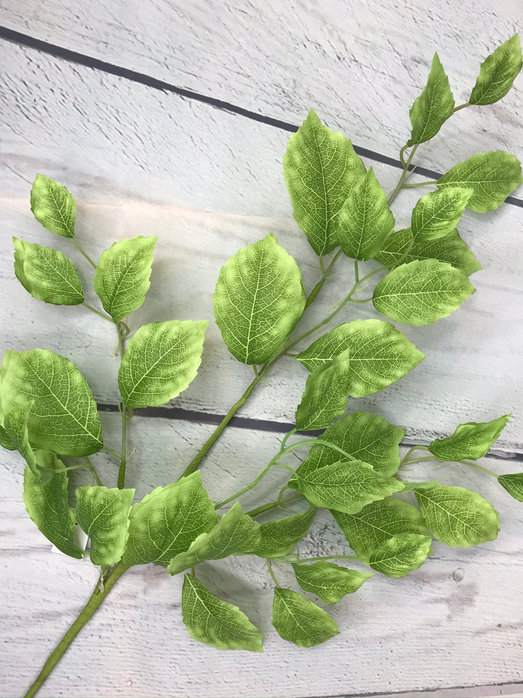 Light Green Rose Leaf Stem, Rose Leaf Stem for Wreaths, Rose Flowers ...