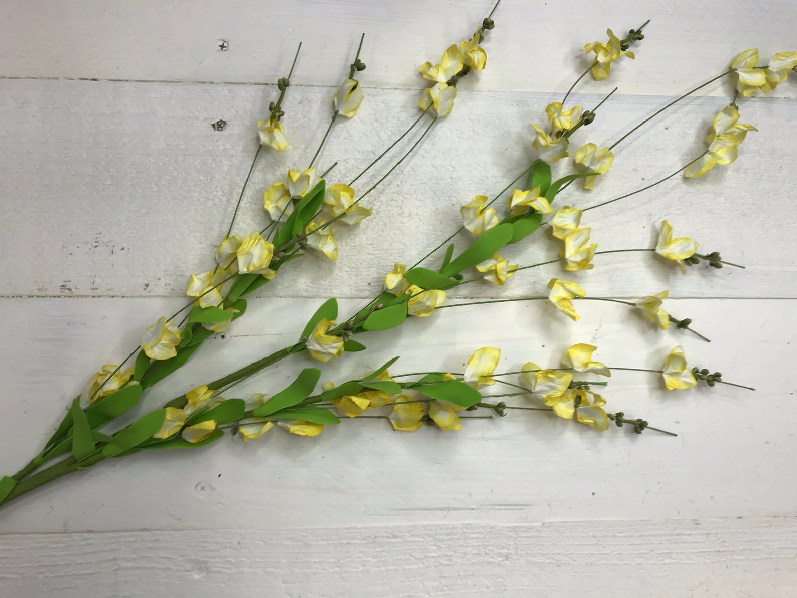 Yellow Sweet Pea Stem, Yellow Stem Flower, Yellow Flowers for Wreaths ...