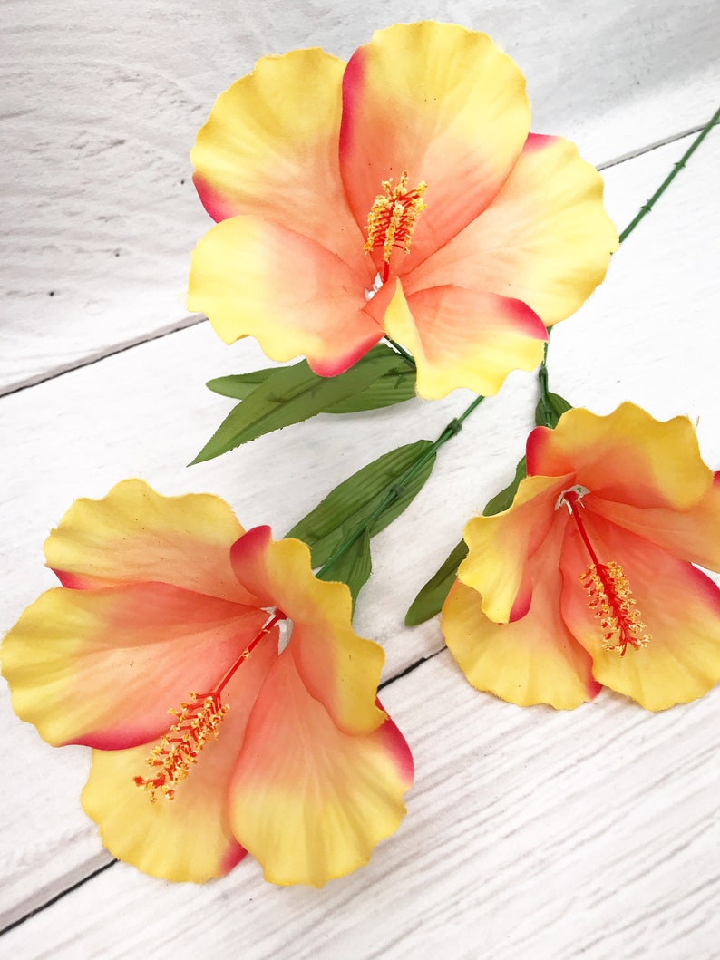 Coral Hibiscus Stem Hibiscus Stem Artificial Hibiscus Etsy Coral Hibiscus Stem Hibiscus Stem Artificial Hibiscus Etsy