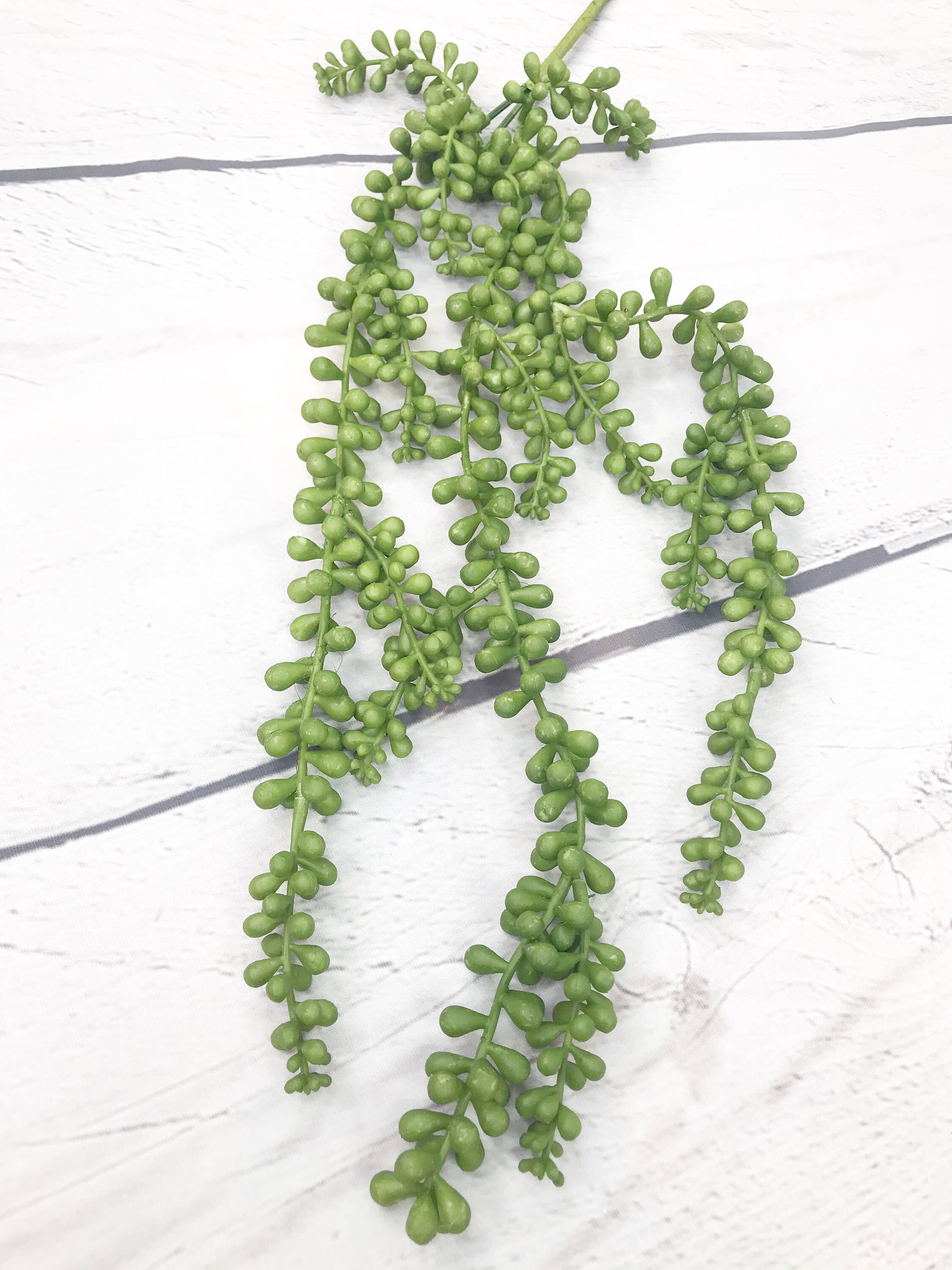 Strings of Pearl Artificial Succulent Succulents Succulent | Etsy