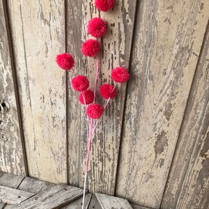 Light Pink POM POM Ball Stem, Fun Stem, Fun Decor, Light Pink Ball Stem ...