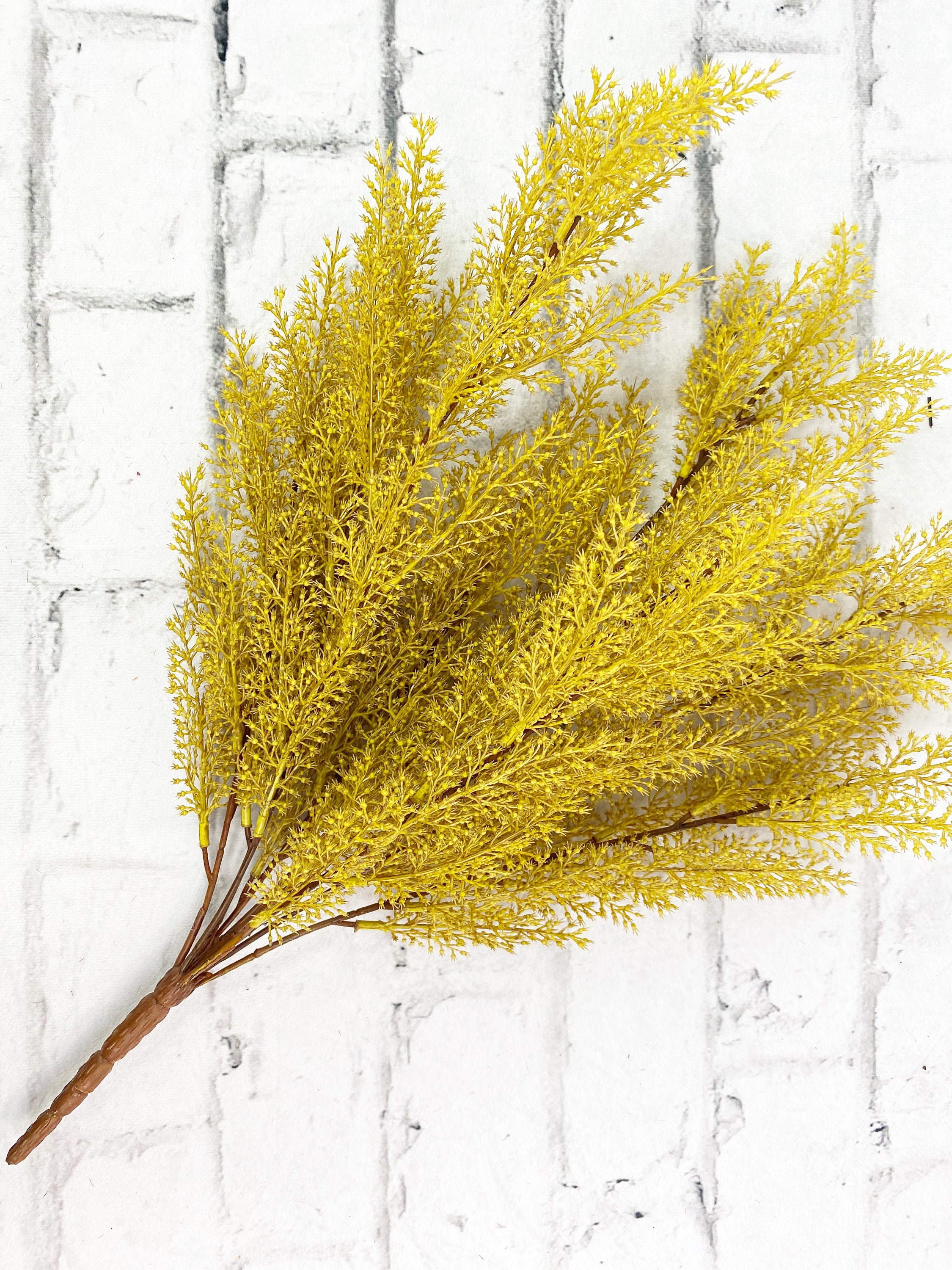 Yellow Sorghum Bush Yellow Berry bush berry bush Keleas | Etsy