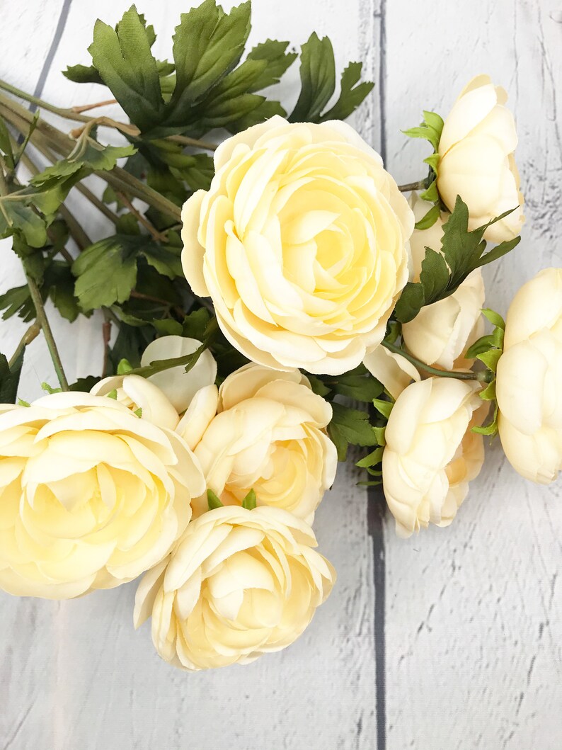 Beige Ranunculus Bush, Ranunclus Bush, Spring Flowers, Hawaii Flower ...