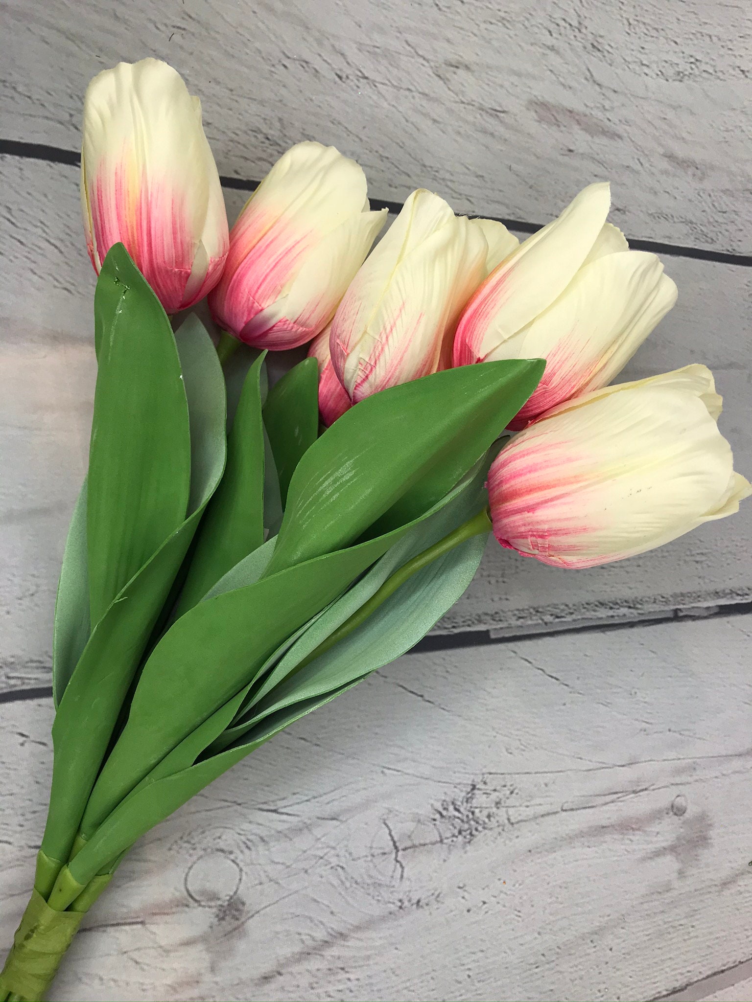 Pink Tulip Flower