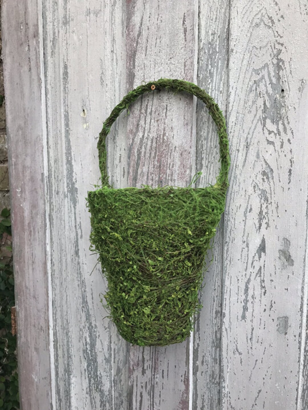 Moss Wall Basket, Moss Basket, Moss Coved Wall Basket, Wall Basket ...