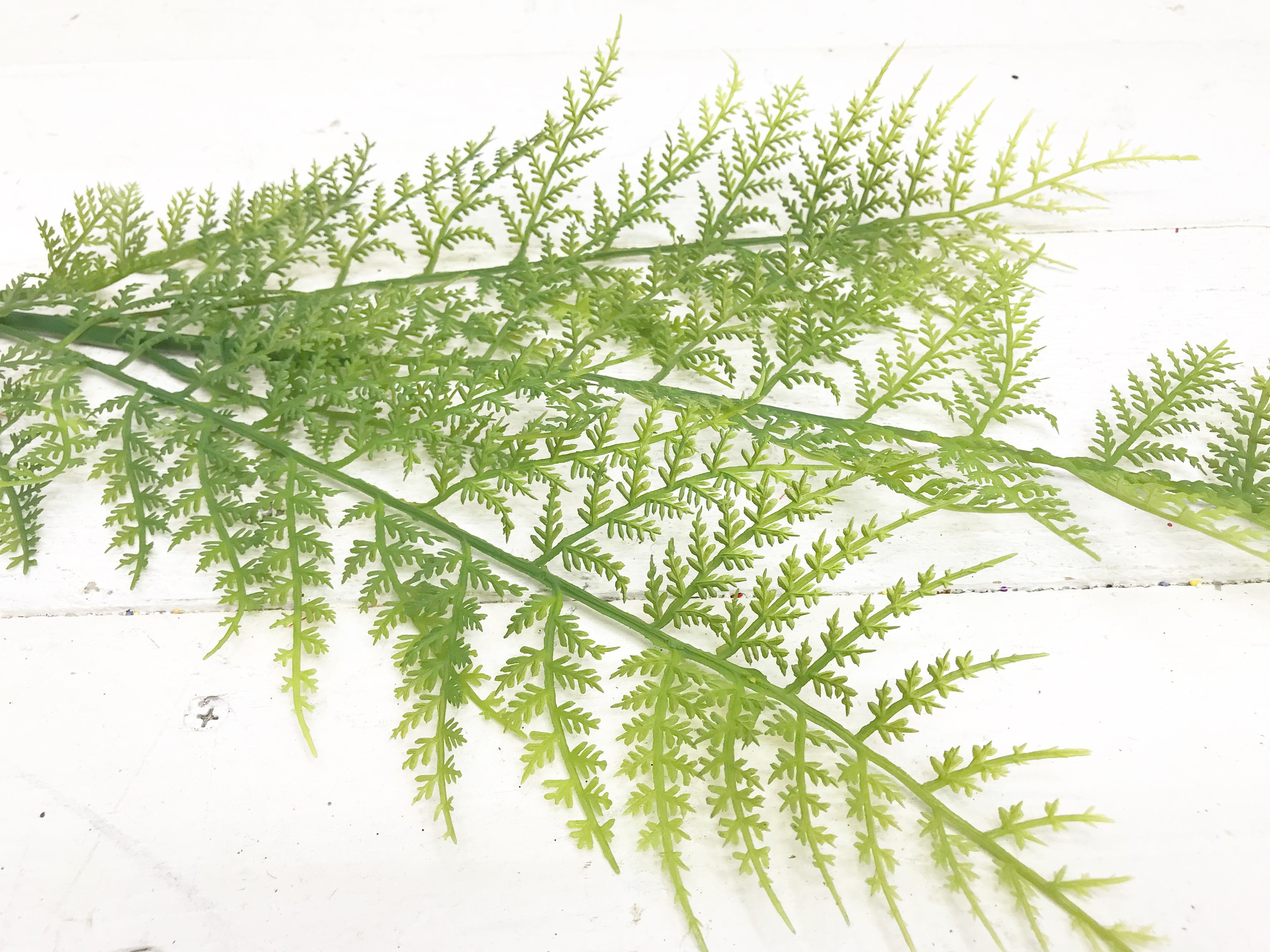 Plastic Fern Greenery Stem Fern Stem greenery stems | Etsy