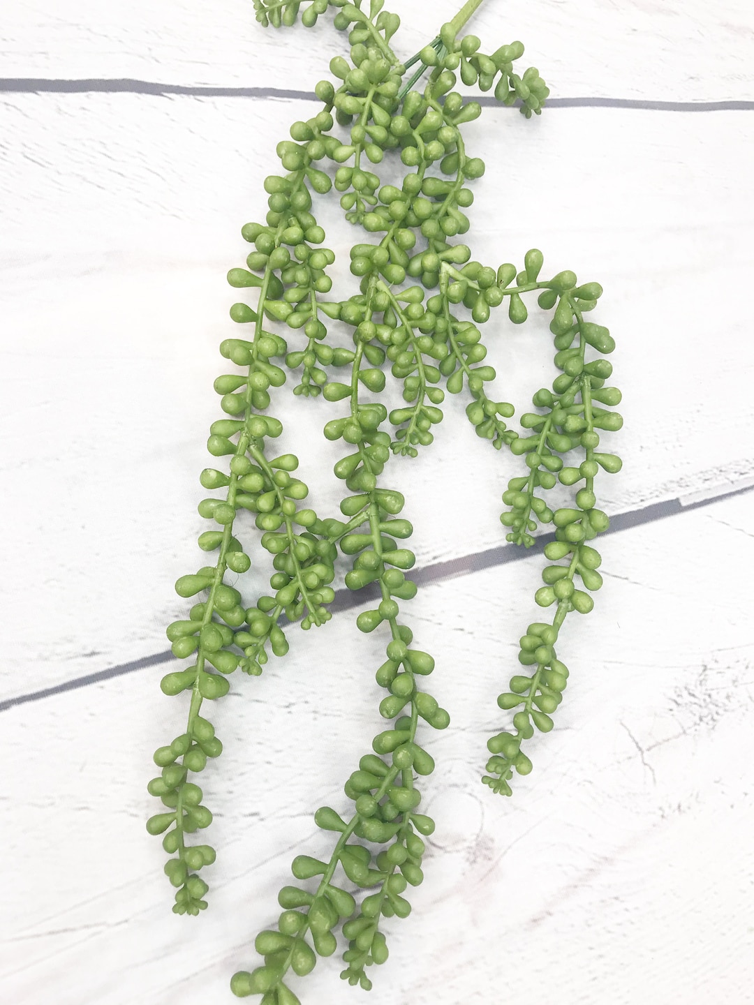 Strings of Pearl Artificial Succulent, Succulents, Succulent Stems ...