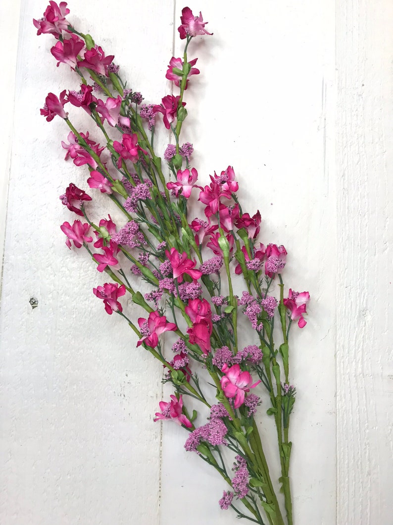 Pink Small Daisy Stem, Pink Daisy Stem Flower, Pink Daisy Flowers for ...