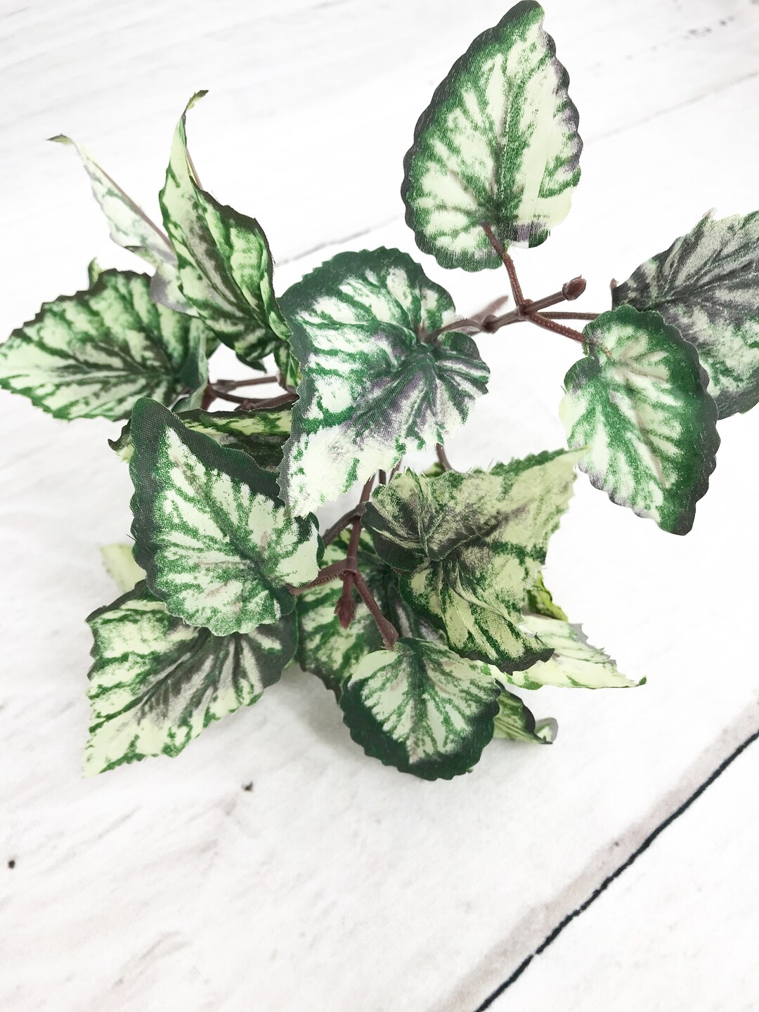 Small Ruby Begonia Stem, Flower and Greenery, Greenery and Flower Decor ...