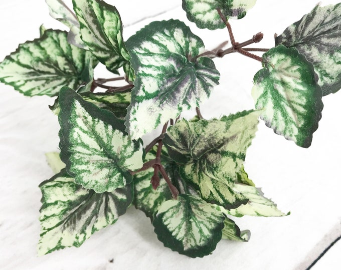 Small Ruby Begonia Stem, Flower and Greenery, Greenery and Flower Decor ...