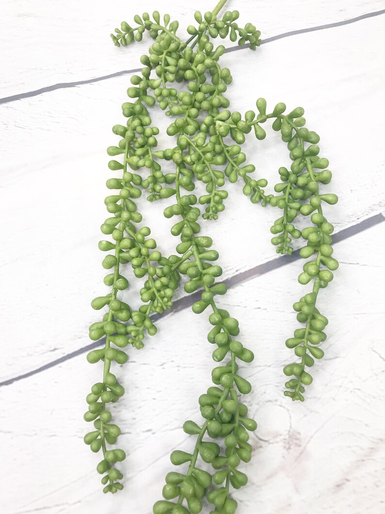 Strings of Pearl Artificial Succulent Succulents Succulent - Etsy
