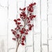 Snow Red Berry Stem, Berry Pick for Wreaths, Berry Picks for ...