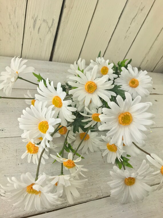 Daisy With Stem
