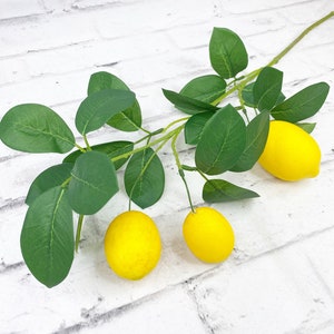 Lemon Stem With Greenery for Silk Floral Design and Wreath Making by ...