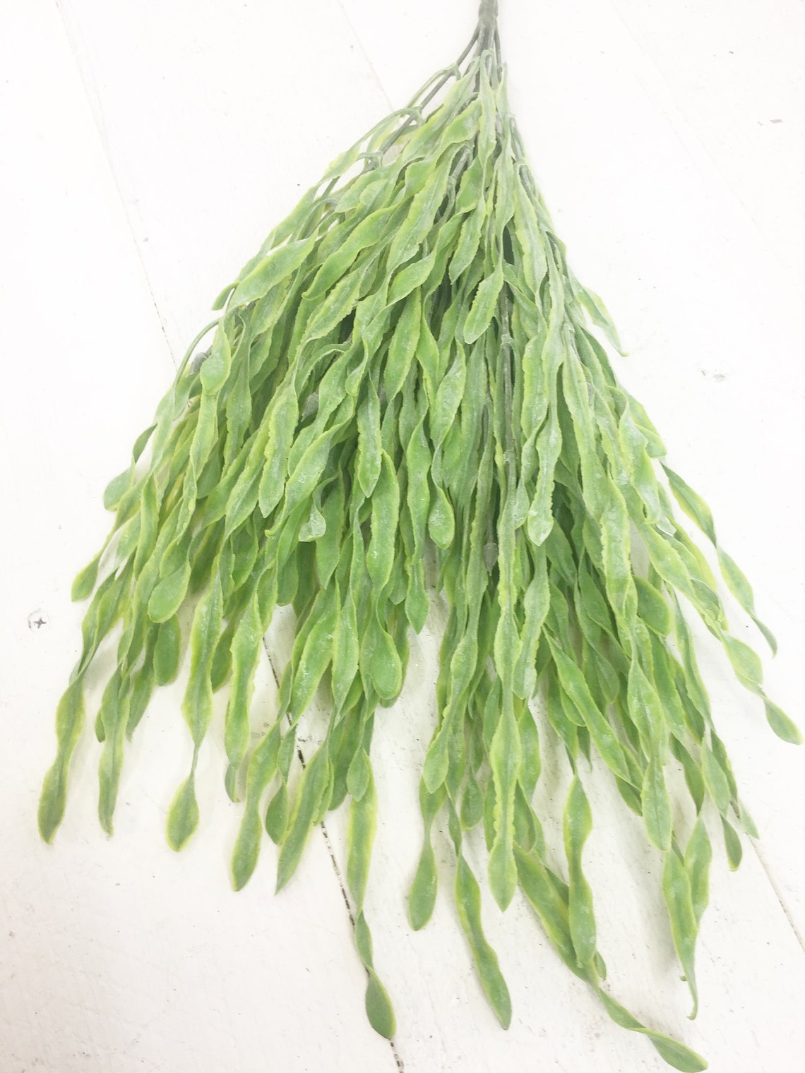 Frosted Curly Grass Greenery Bush Winter Curly Grass Bush - Etsy