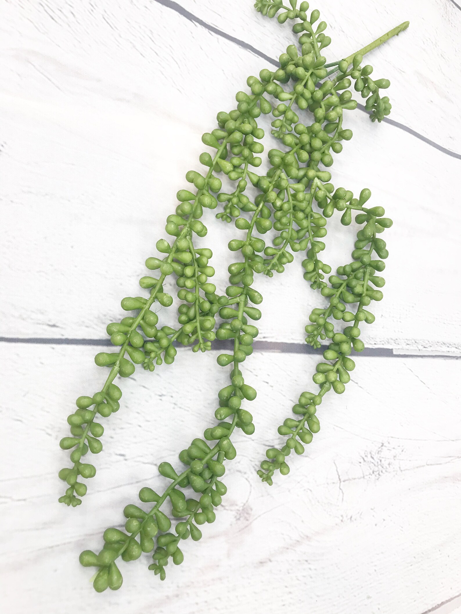 Strings of Pearl Artificial Succulent Succulents Succulent - Etsy