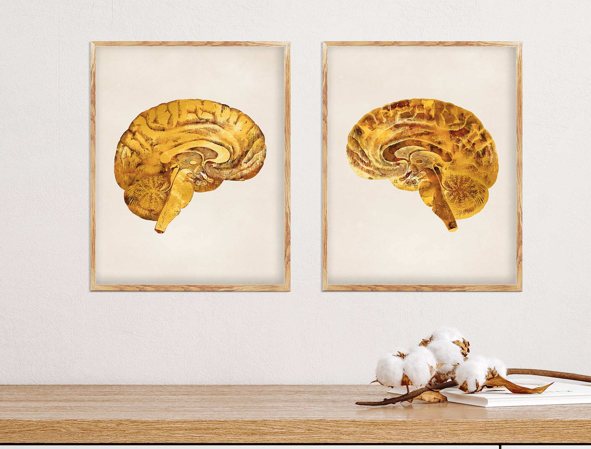 Brain Art Anatomy Set of 9 Unframed Prints Psychologist Neurologist ...