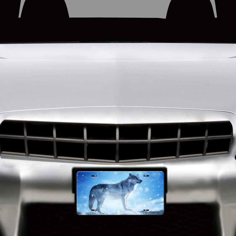 License Plate Art - Etsy