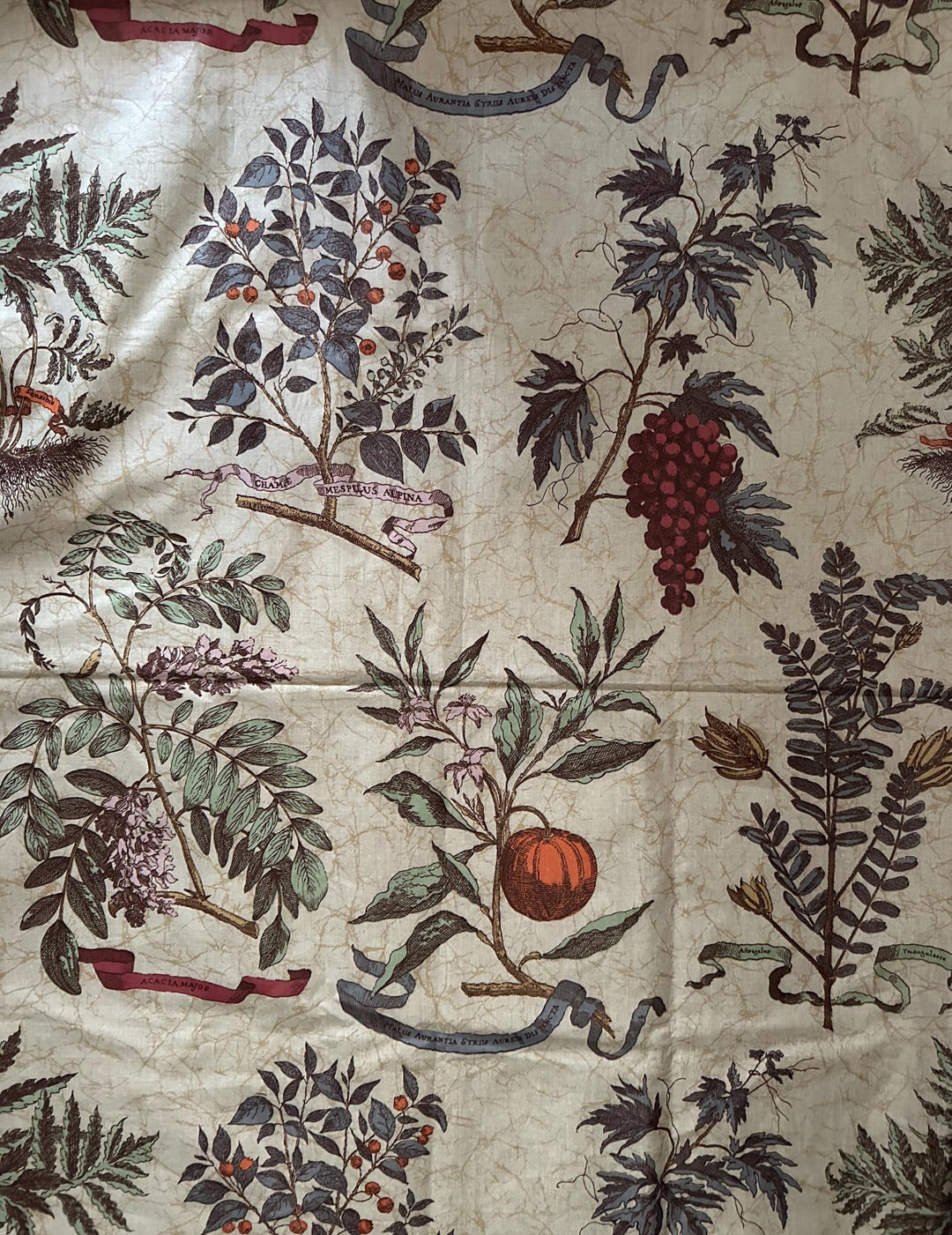 Vintage Cyrus Clark EDEN Cotton CHINTZ Fabric 2 Yard Cut 56 Inches Wide ...