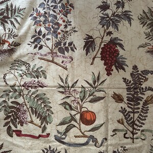 Vintage Cyrus Clark EDEN Cotton CHINTZ Fabric 2 Yard Cut 56 Inches Wide ...