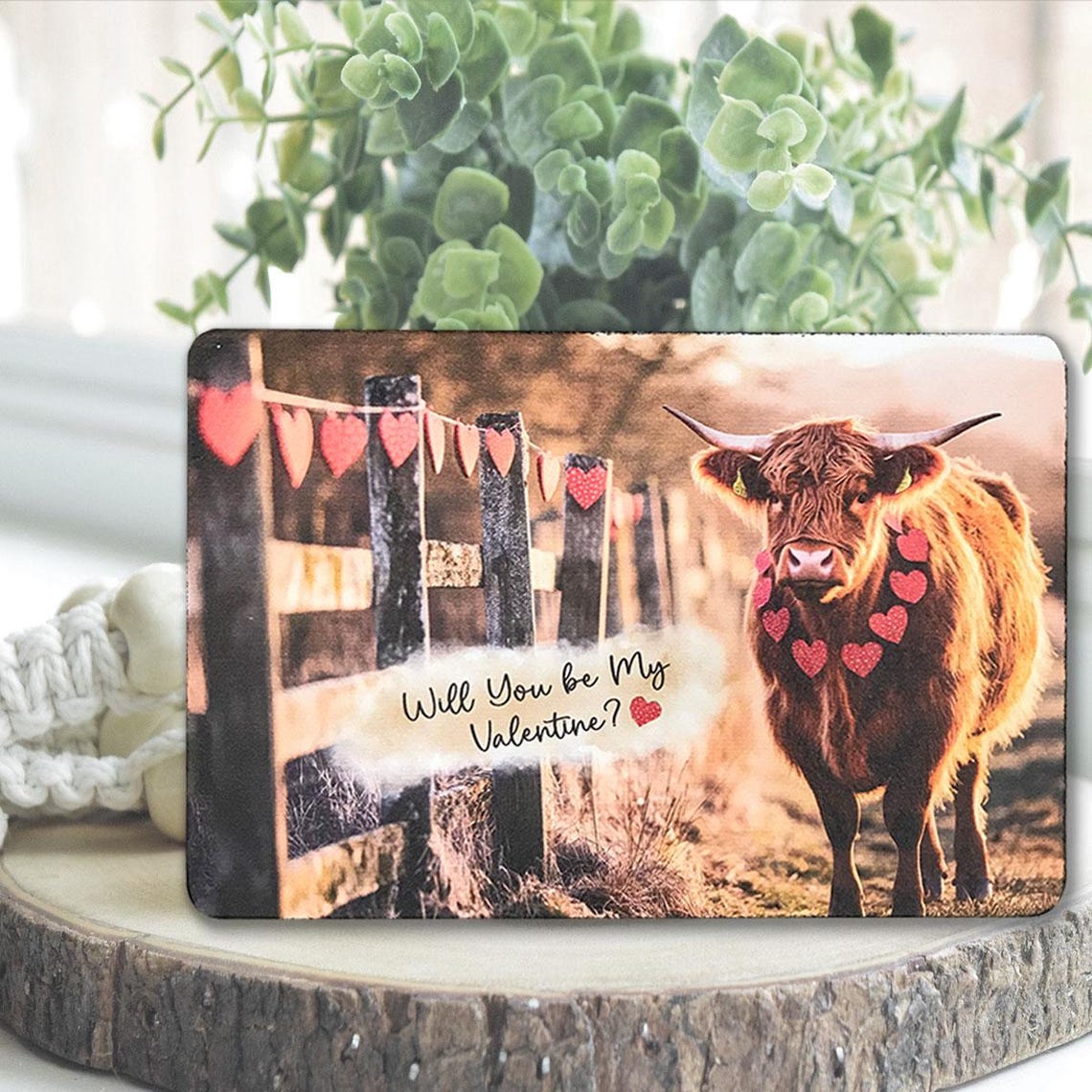 Valentines Day Decor, Valentines Highland Cow, Valentines Day Plaque ...