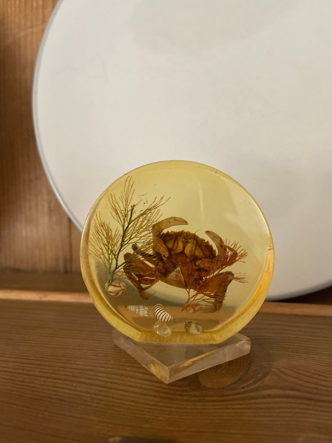 Lucite Paperweight Kitch Crab Sea Creature Scene, Atomic Era, Abstract ...