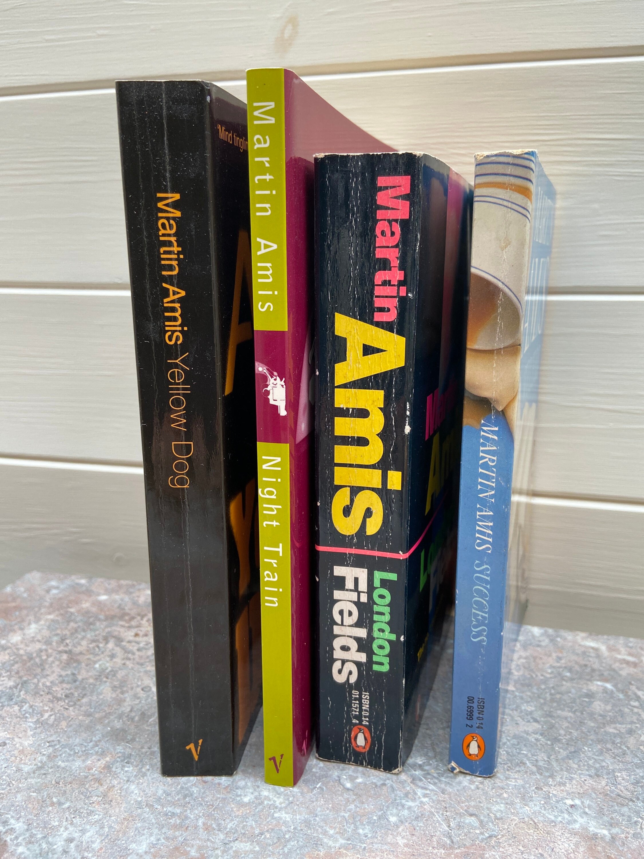 Yellow Dog Martin Amis