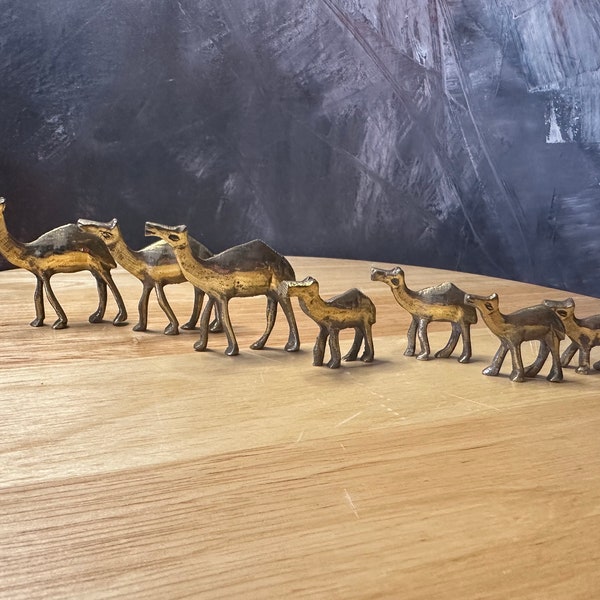 Camel Collectibles - Etsy