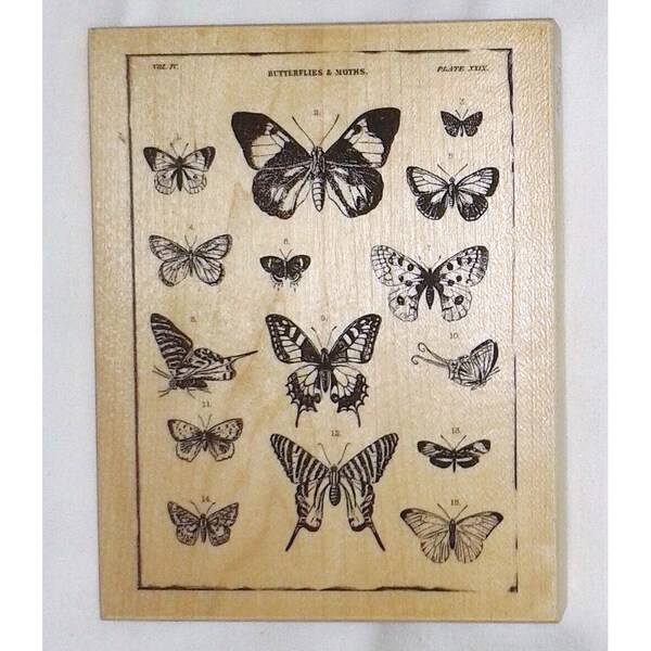 Victorian Science - Etsy