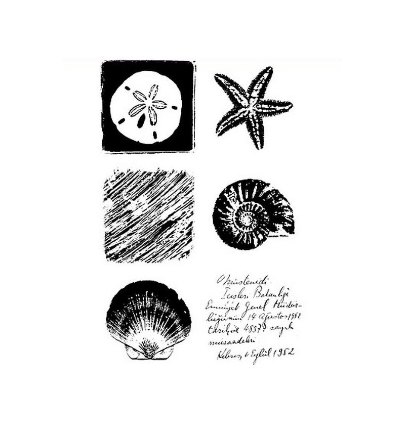 Kappa Delta Nautilus Shell Tattoo