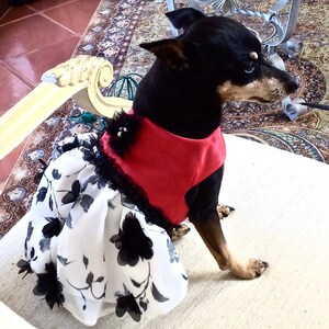 Flirty Girl Dog Dress, Red Satin and White Organza With Black Flowers ...