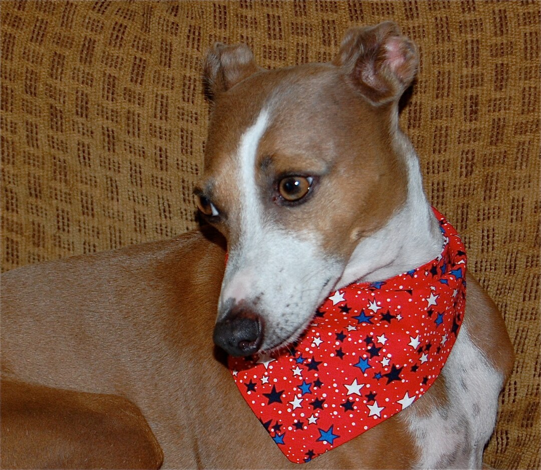 American Dog Stars and Stripes Dog Bandannas - Etsy