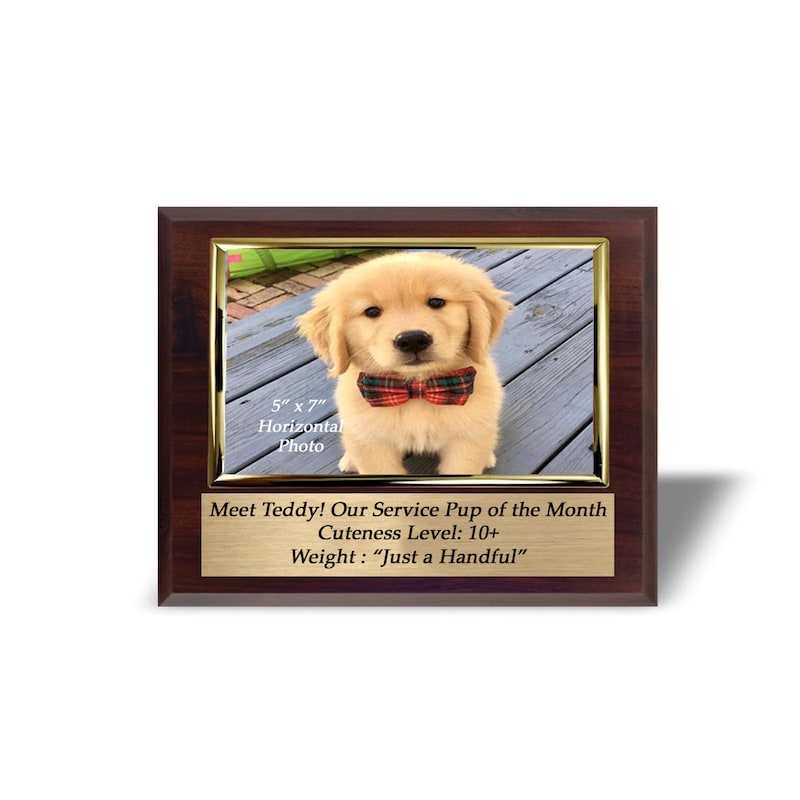 Award for 6 7 - Etsy