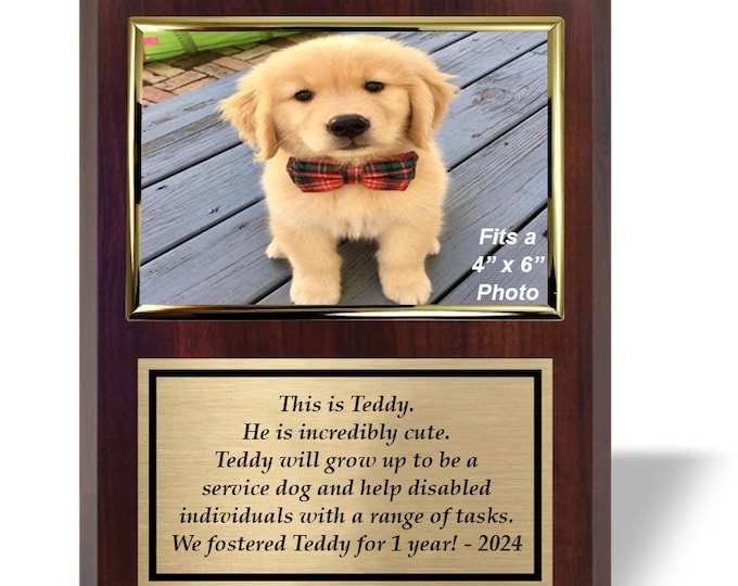 Picture Frame Plaques - Etsy