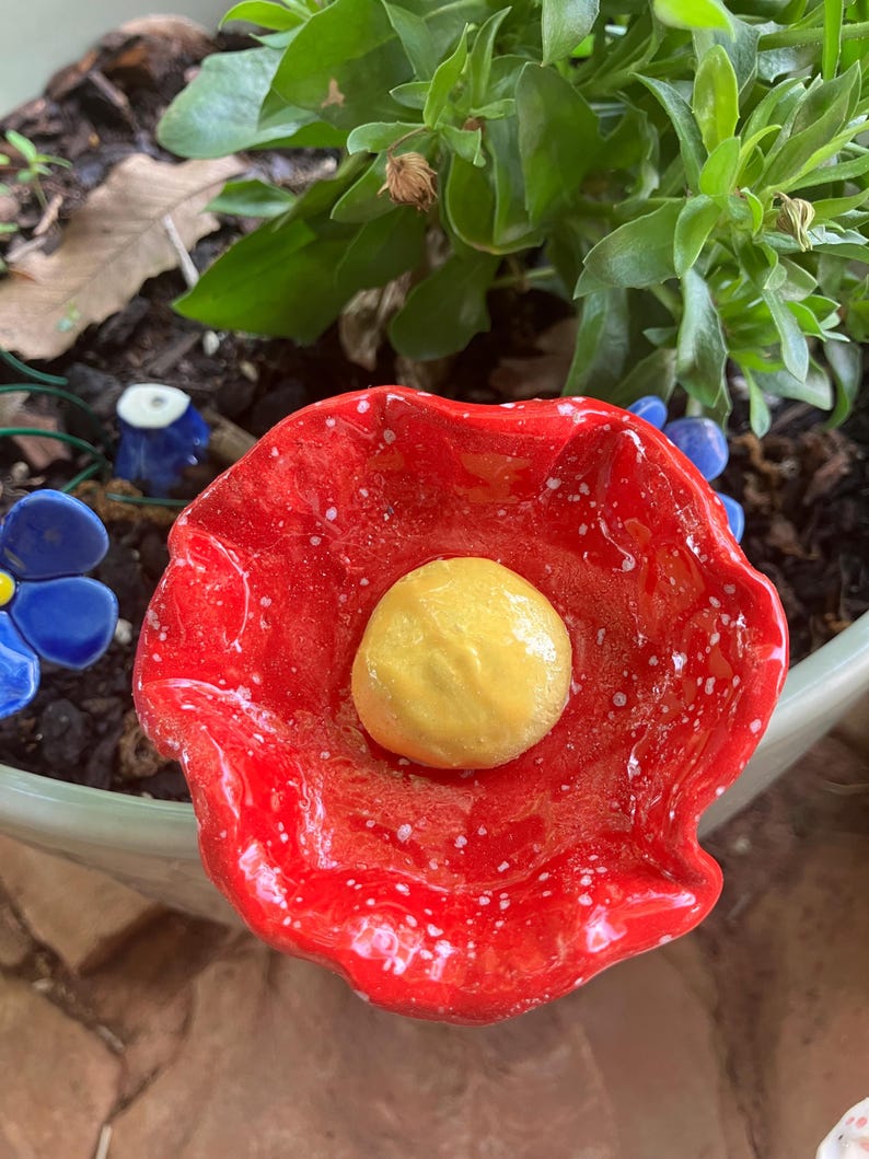 Pollinators Hydration Station for Butterflies, Hummingbirds and Bees ...