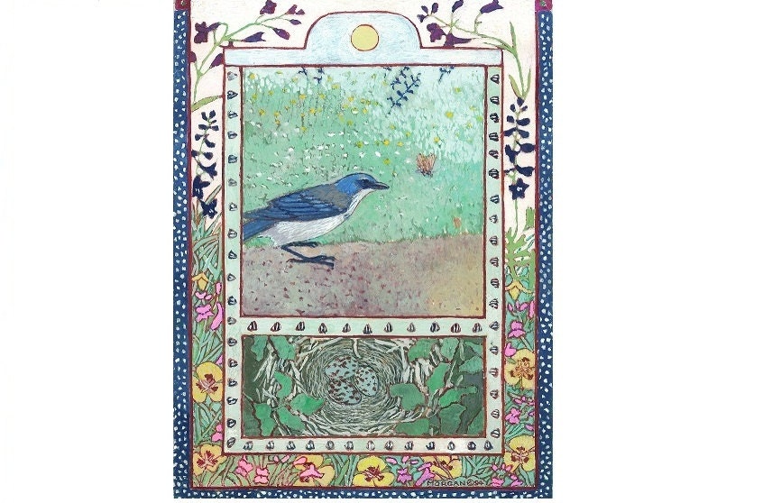 Scrub Jay With Nest and Eggs Digital Print - Etsy