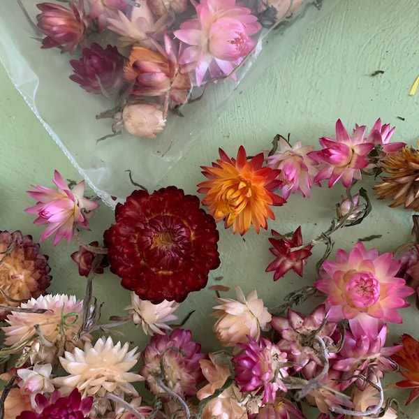 Straw Flowers - Etsy