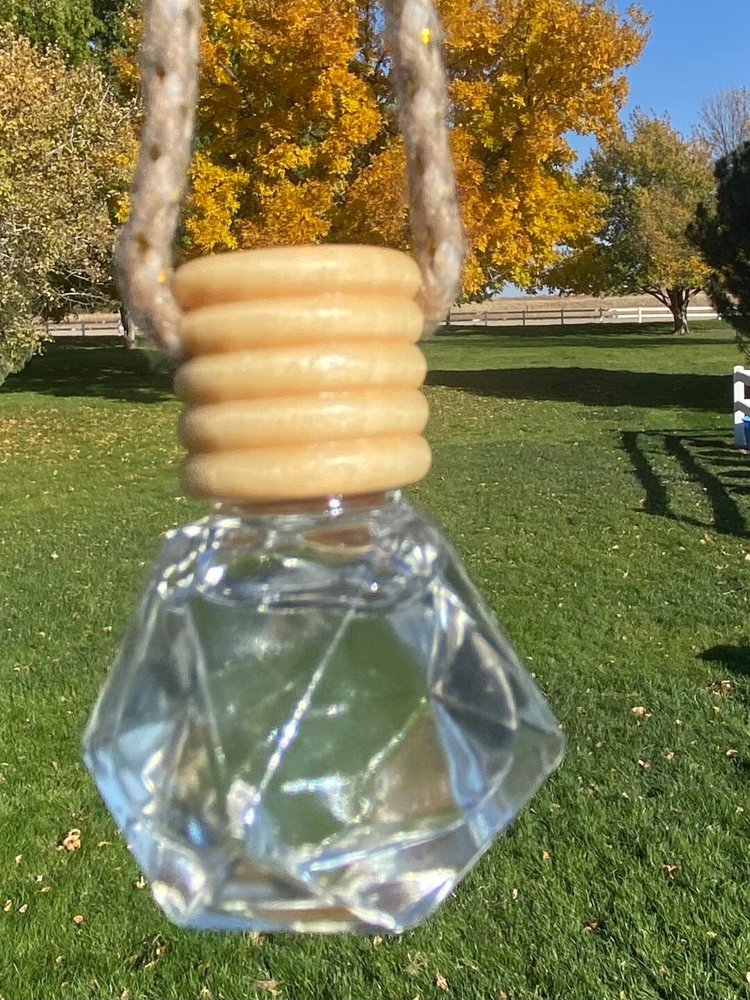 Hanging Car Diffuser Alpine balsam/cedar - Etsy