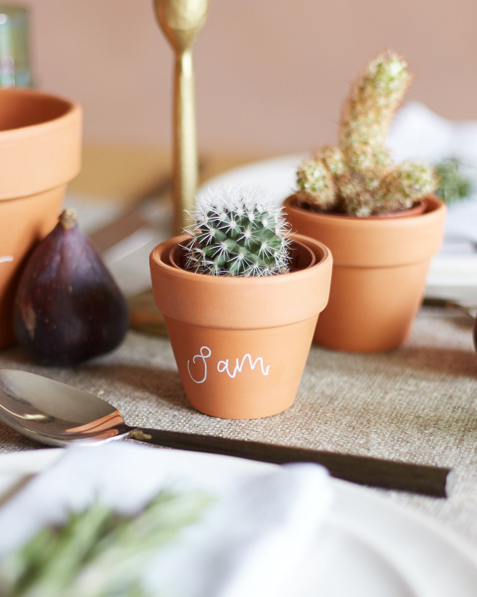 Plant Pot Name Card Personalised Name Card Hand Lettered - Etsy