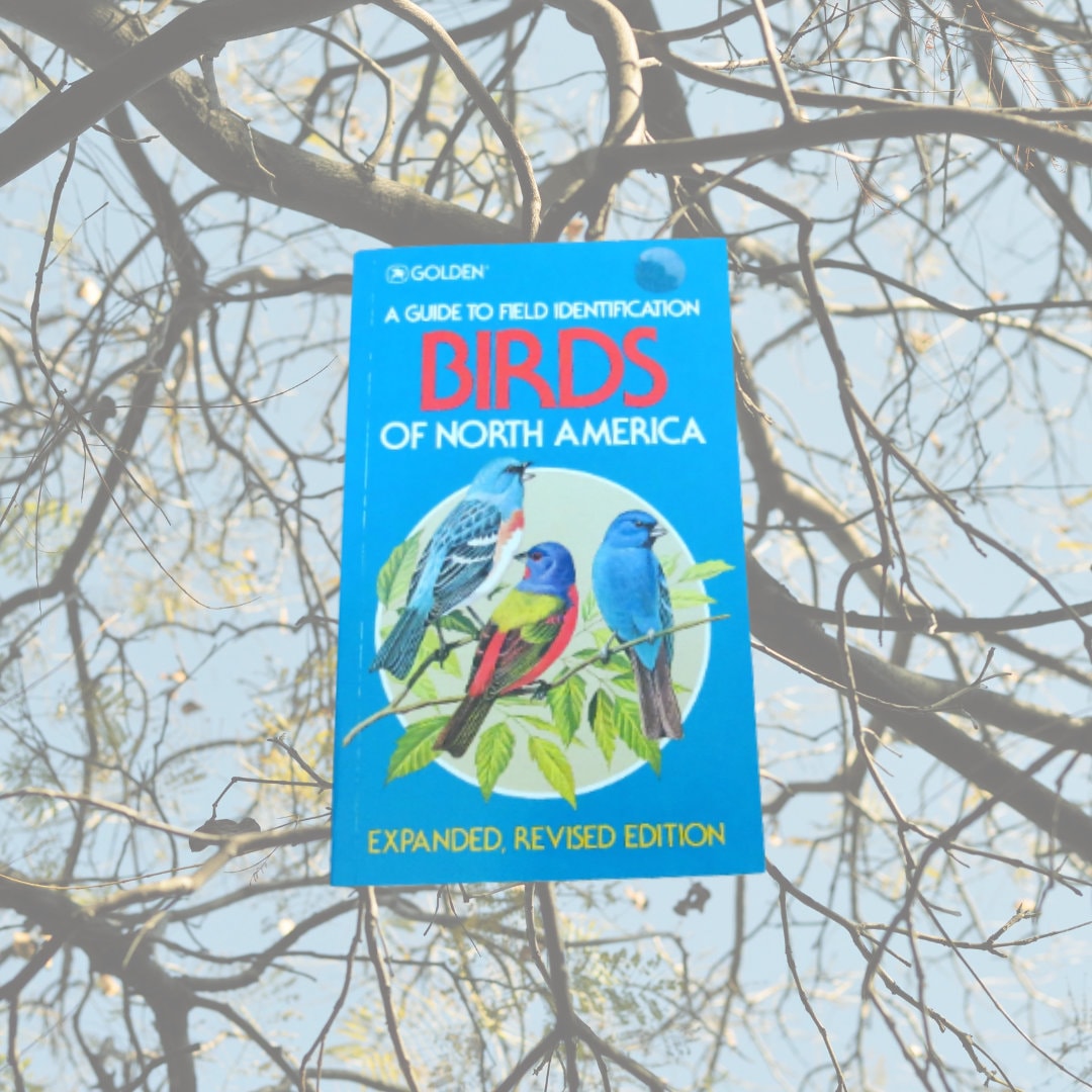 Birds of North America - Vintage Golden Field Identification Guide Book ...